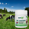 MIP Colostrum, Chewable Tablets - Nutrition New Zealand