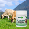 MIP Colostrum, Powder 80g - Nutrition New Zealand
